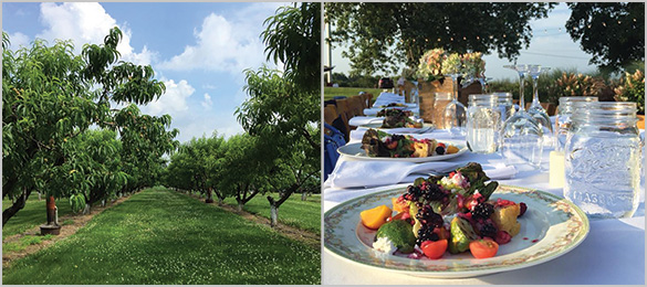 The Porch at Schenley | What’s New